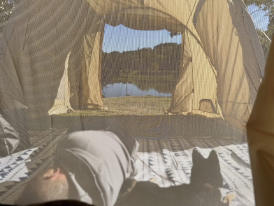 柴犬とキャンプ｜安い！綺麗！井無田高原キャンプ場（つるばみキャンプ場）で秋キャンプ｜熊本県山都町